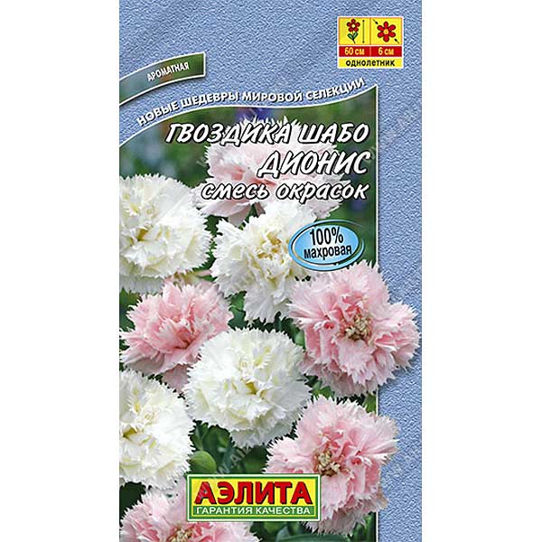 Гвоздика Шабо Дионис Аэлита Ц – купить оптом от производителя